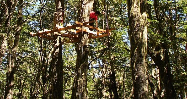 Canopy en Puerto Varas – Construcción y Diseño de Canopy