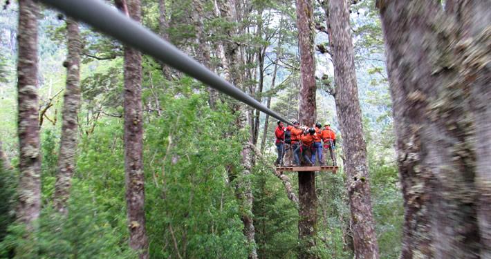 Canopy en Puerto Varas – Construcción y Diseño de Canopy